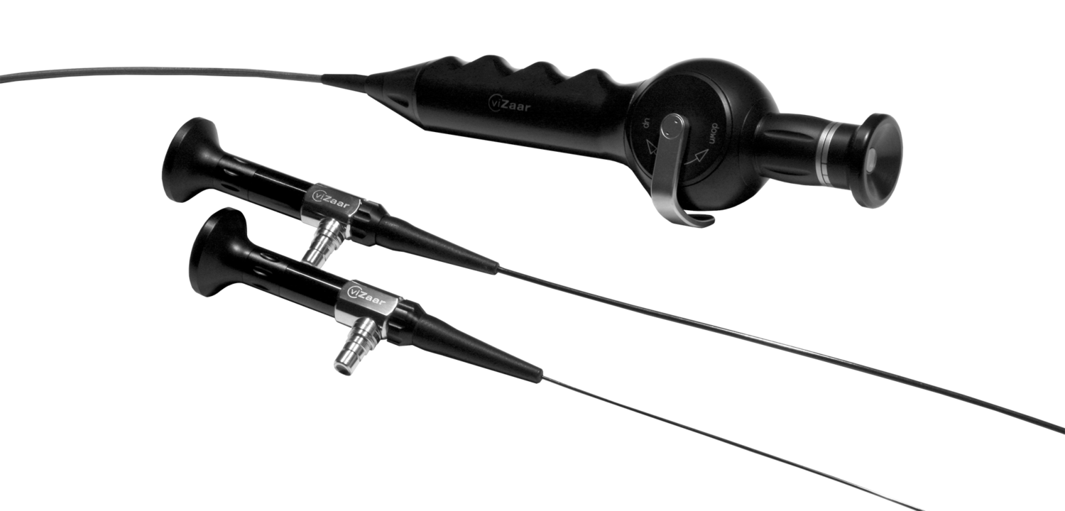 Visual inspection with optical endoscopes - viZaar